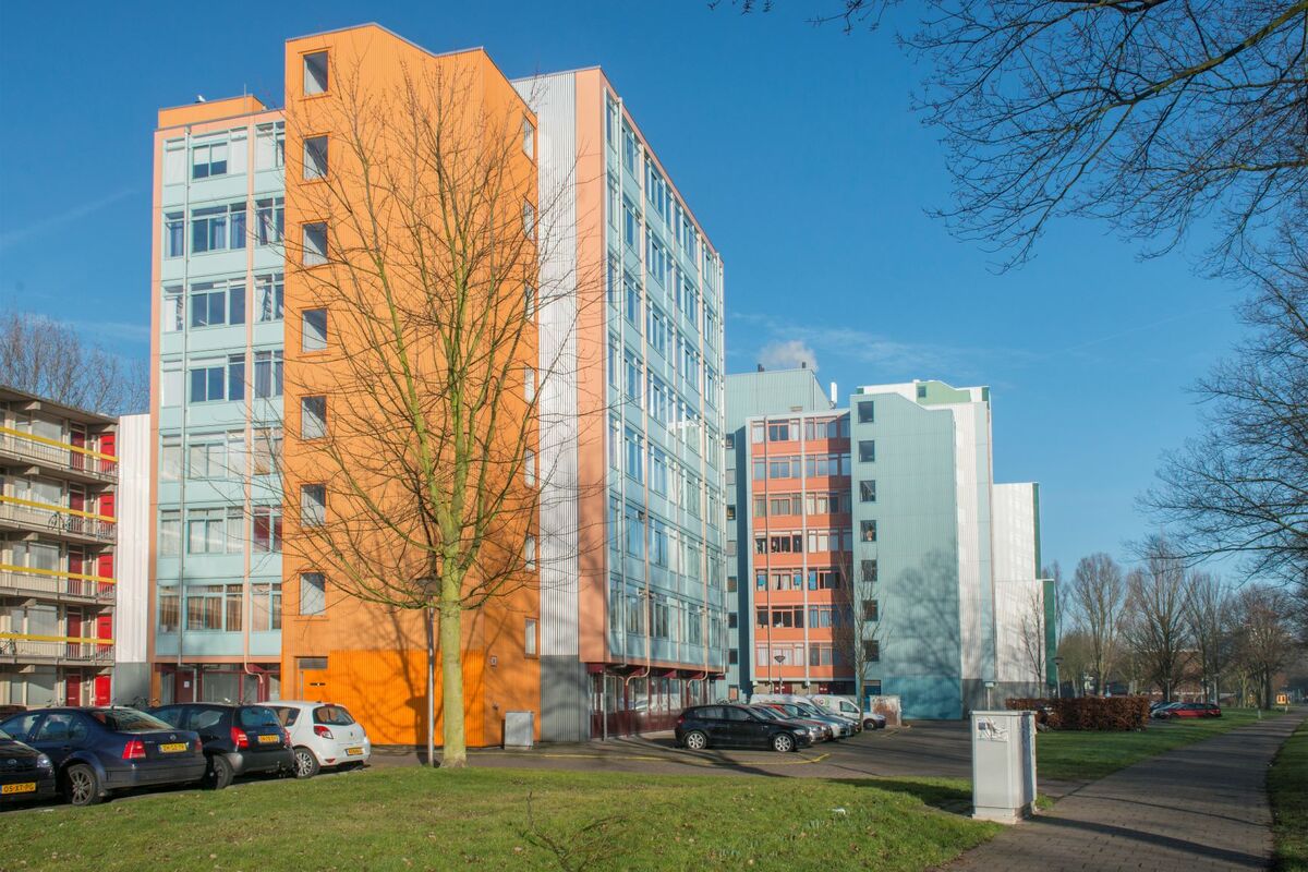 Grote renovatie met nieuwbouw voor Van Hasseltlaan, onderhoud voor ...